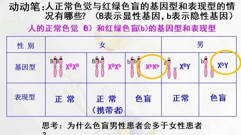 生物必修2《遗传与进化》第3节 伴性遗传图片ppt课件 教习网课件下载