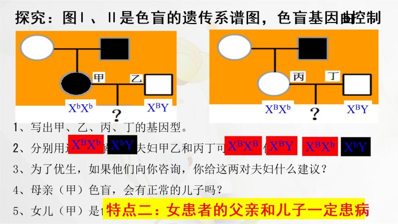 生物必修2《遗传与进化》第3节 伴性遗传图片ppt课件 教习网课件下载
