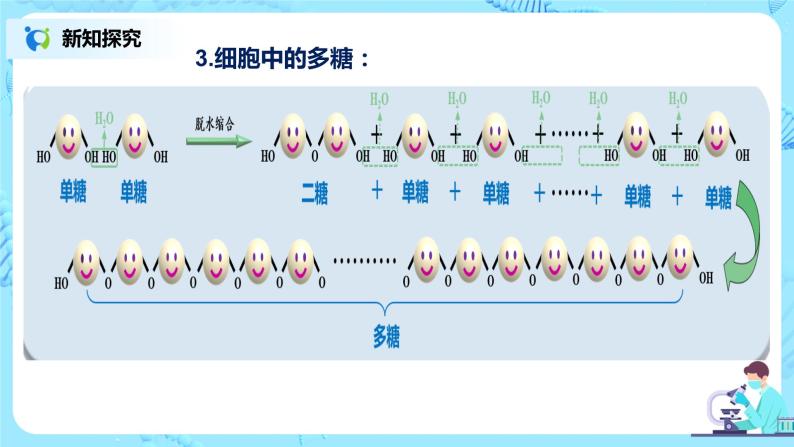 生物必修1《分子与细胞》第3节 细胞中的糖类和脂质集体备课课件ppt 教习网课件下载