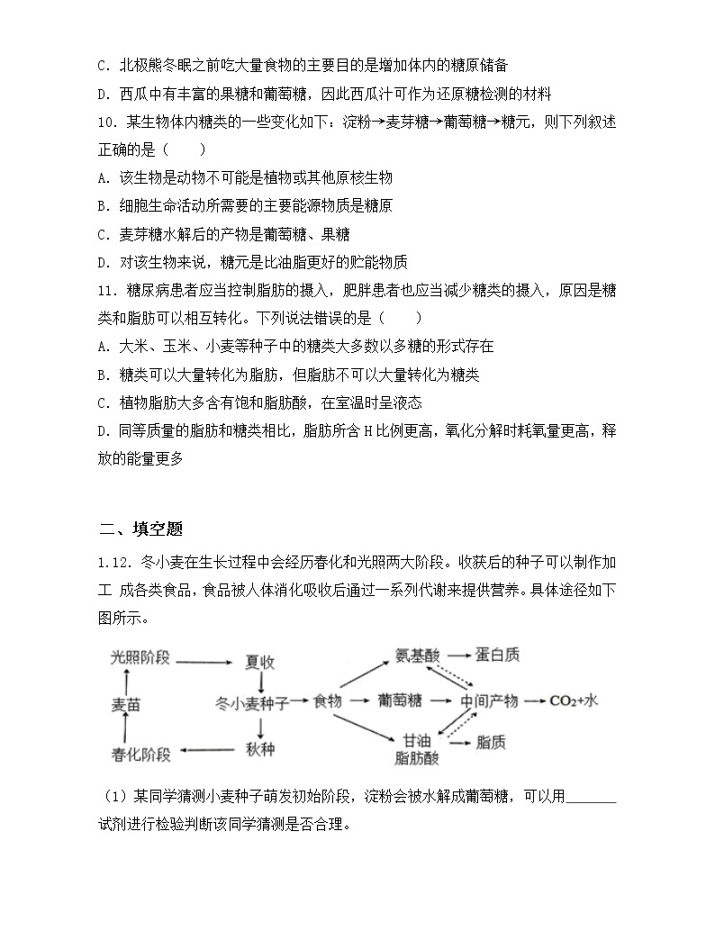 生物必修1《分子与细胞》第3节 细胞中的糖类和脂质集体备课课件ppt 教习网课件下载