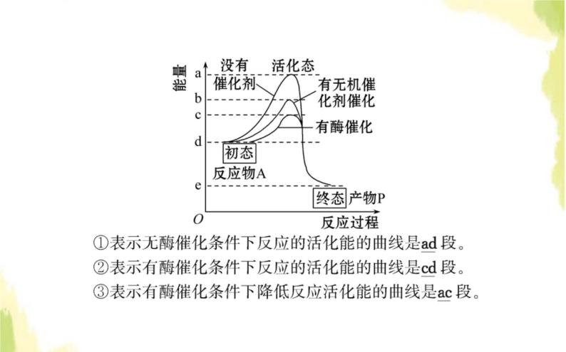 高中生物人教版 2019必修1《分子与细胞》一 酶的作用和本质教案配套课件ppt 教习网课件下载