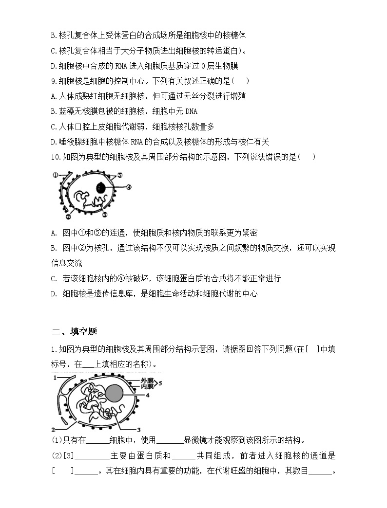 高中生物人教版 2019必修1《分子与细胞》第3节 细胞核的结构和功能教学演示课件ppt 教习网课件下载