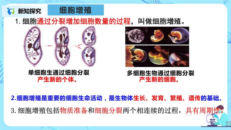 人教版 (2019)必修1《分子与细胞》第1节 细胞的增殖课堂教学课件ppt-教习网|课件下载