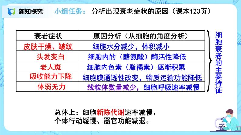 高中生物人教版 2019必修1《分子与细胞》第3节 细胞的衰老和死亡集体备课课件ppt 教习网课件下载