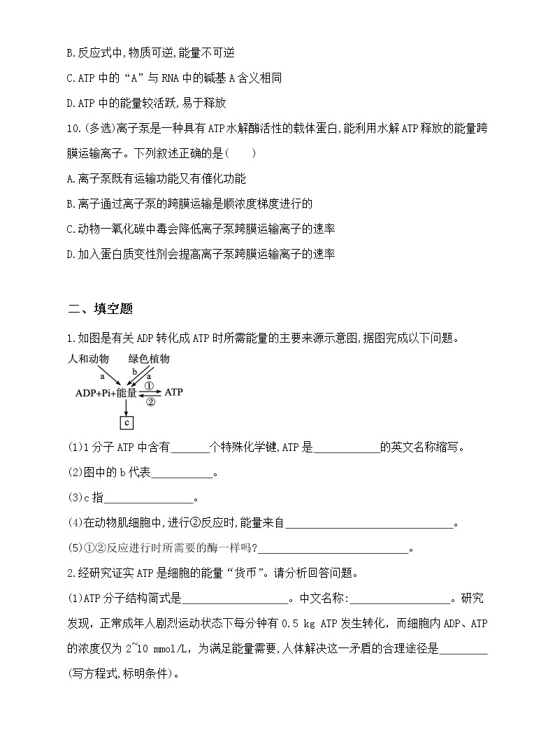 人教版 2019必修1《分子与细胞》第5章 细胞的能量供应和利用第2节 细胞的能量 货币”atp一等奖课件ppt 教习网课件下载