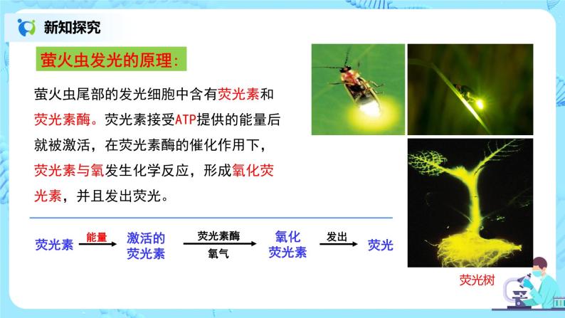 人教版 2019必修1《分子与细胞》第5章 细胞的能量供应和利用第2节 细胞的能量 货币”atp一等奖课件ppt 教习网课件下载
