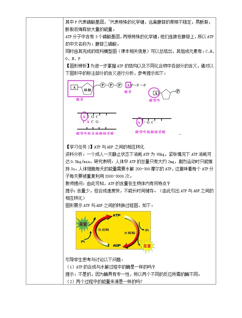 人教版 2019必修1《分子与细胞》第5章 细胞的能量供应和利用第2节 细胞的能量 货币”atp一等奖课件ppt 教习网课件下载