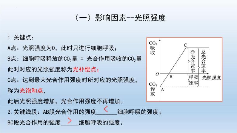 54光合作用与能量转化（第四课时） 高一上学期生物人教版（2019）必修1 教习网课件下载
