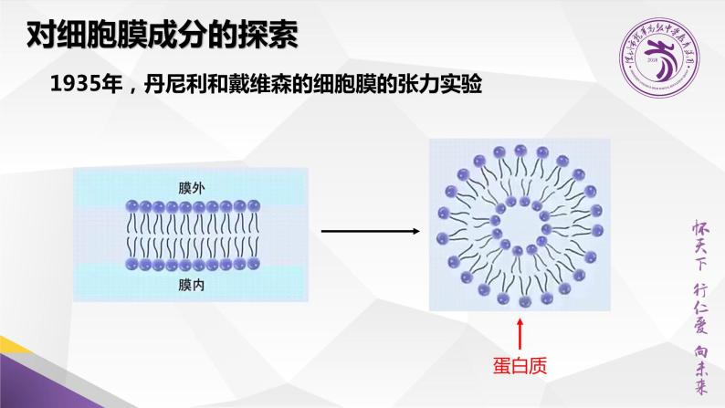 高中生物人教版 2019必修1《分子与细胞》第2节 细胞的能量 货币”atp教课内容ppt课件 教习网课件下载