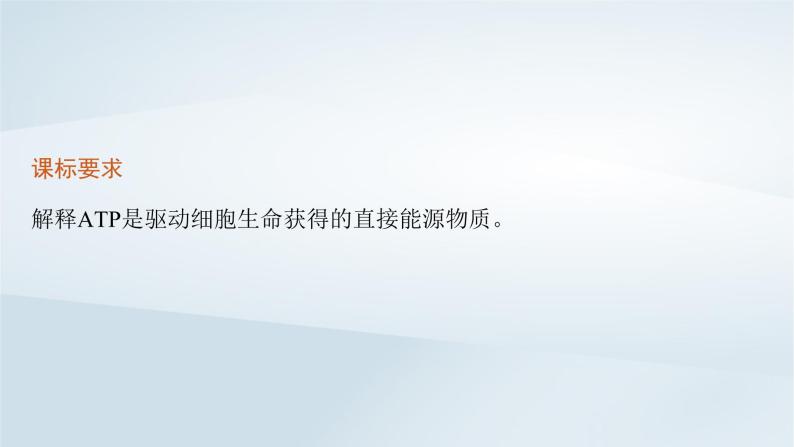 高中生物人教版 2019必修1《分子与细胞》第2节 细胞的能量 货币”atp课堂教学课件ppt 教习网课件下载