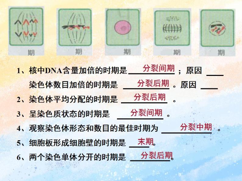 高中生物浙科版 2019必修1《分子与细胞》第一节 细胞通过分裂增殖精品课件ppt 教习网课件下载