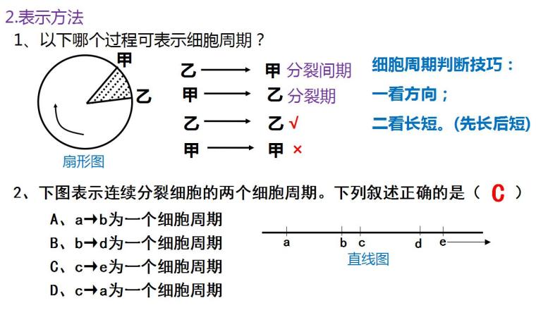 高中生物人教版 2019必修1《分子与细胞》第1节 细胞的增殖教案配套ppt课件 教习网课件下载