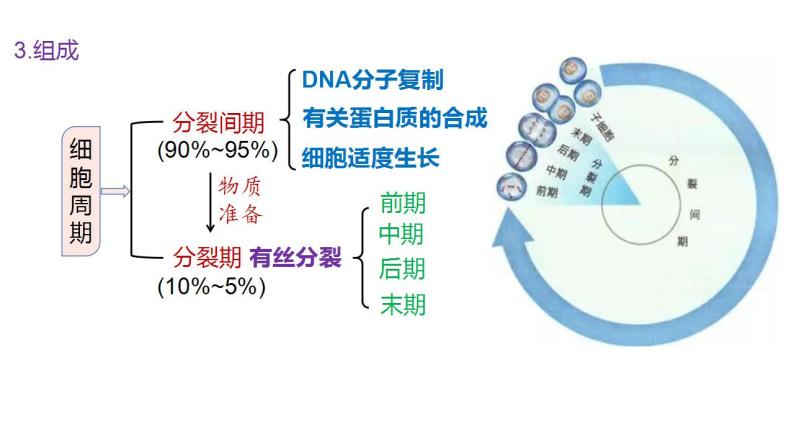高中生物人教版 2019必修1《分子与细胞》第1节 细胞的增殖教案配套ppt课件 教习网课件下载