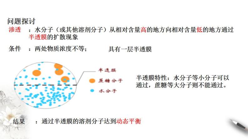 高中生物人教版 2019必修1《分子与细胞》第1节 被动运输授课ppt课件 教习网课件下载