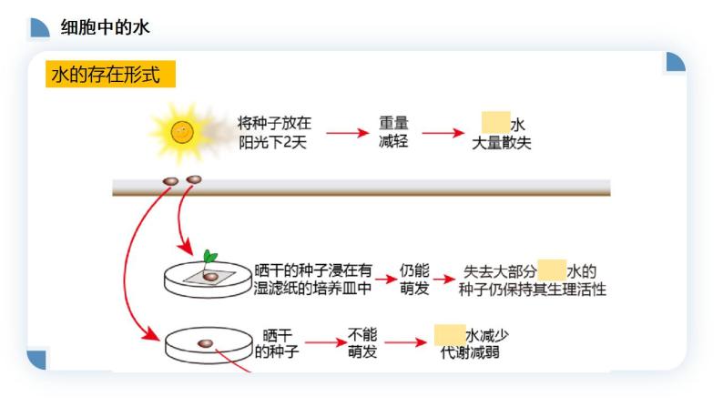 高中生物人教版 2019必修1《分子与细胞》第2节 细胞中的无机物教案配套课件ppt 教习网课件下载