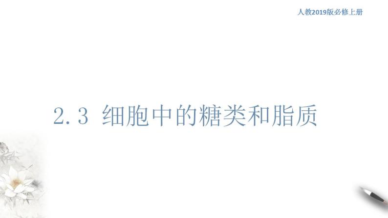 高中生物人教版 2019必修1《分子与细胞》第3节 细胞中的糖类和脂质课文ppt课件 教习网课件下载