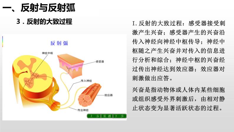 生物第2节 神经调节的基本方式课堂教学ppt课件 教习网课件下载