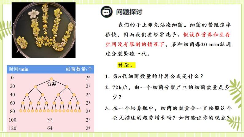 高中生物人教版 2019选择性必修2第2节 种群数量的变化精品ppt课件 教习网课件下载