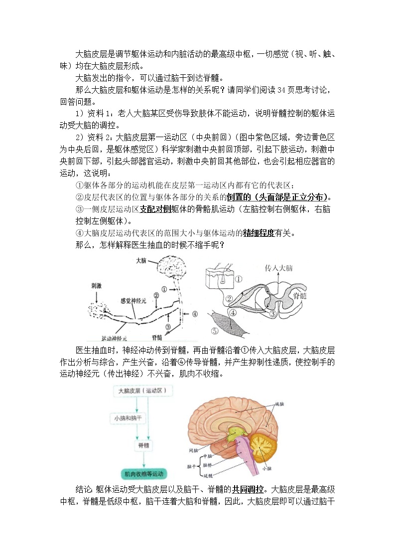 高中生物人教版 2019选择性必修1第2章 神经调节第4节 神经系统的分级调节精品教学设计 教习网教案下载