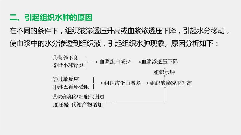 高中生物苏教版（2019）选择性必修一第二章 微专题二 内环境的结构识别、跨膜分析及组织水肿原因（学案课件） 教习网课件下载
