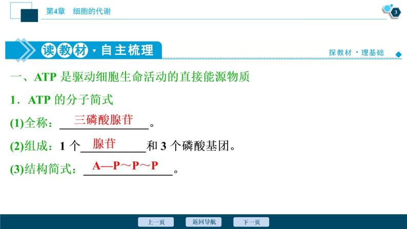 高中生物北师大版 2019必修1《分子与细胞》第二节 Atp背景图课件ppt 教习网课件下载