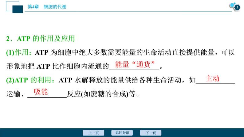 高中生物北师大版 2019必修1《分子与细胞》第二节 Atp背景图课件ppt 教习网课件下载