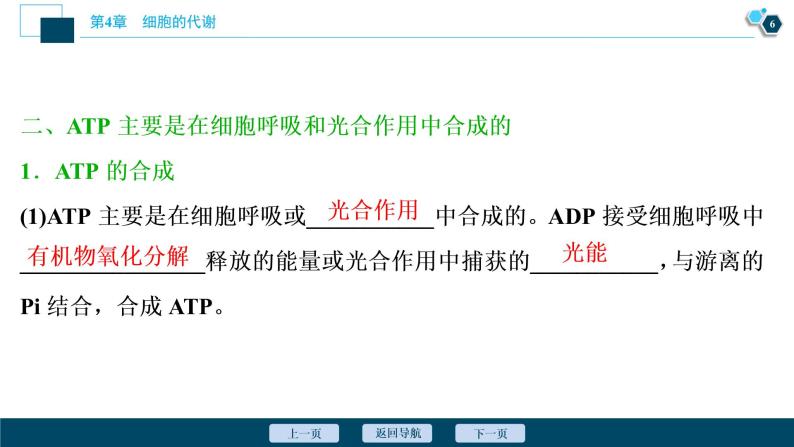 高中生物北师大版 2019必修1《分子与细胞》第二节 Atp背景图课件ppt 教习网课件下载