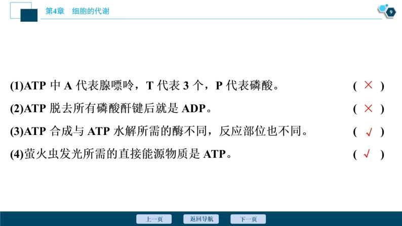 高中生物北师大版 2019必修1《分子与细胞》第二节 Atp背景图课件ppt 教习网课件下载