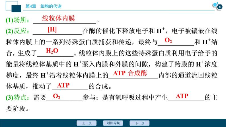 高中生物北师大版 2019必修1《分子与细胞》二 细胞呼吸的过程课文课件ppt 教习网课件下载