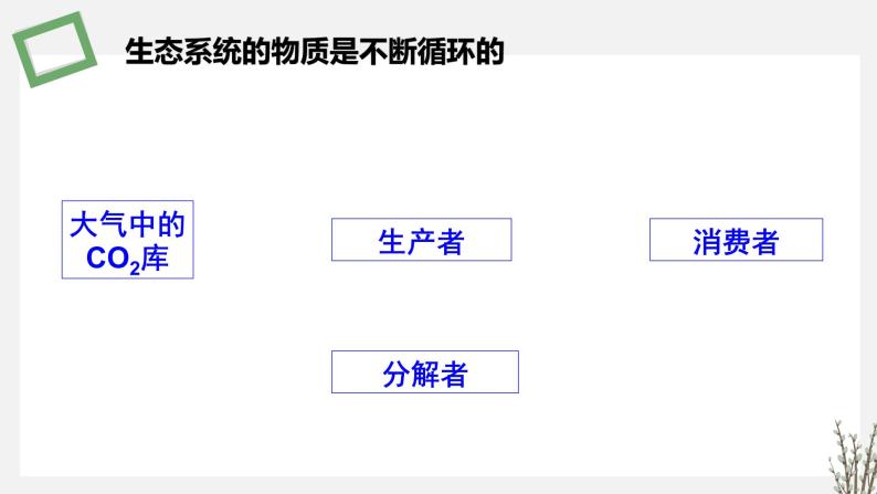 高中生物苏教版 2019选择性必修2 生物与环境第三章 生态系统第三节 生态系统的物质循环课文ppt课件 教习网课件下载