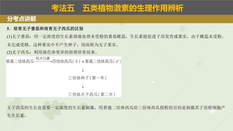 2023届高三生物一轮复习课件：植物生长调节剂的应用及环境因素对植物生命活动的调节 教习网课件下载