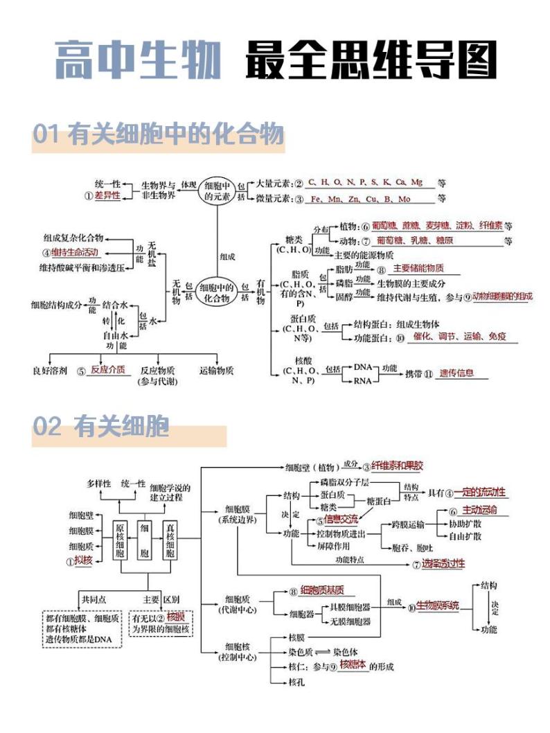 高中生物思维导图 教习网课件下载