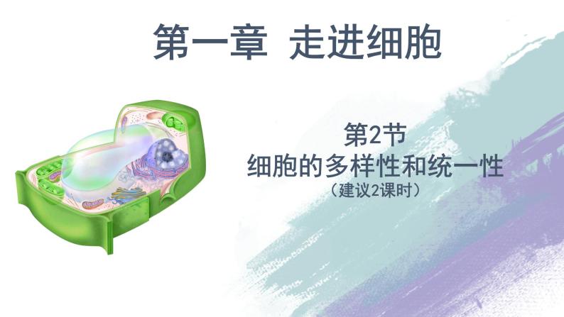 高中生物人教版 2019必修1《分子与细胞》第2节 细胞的多样性和统一性图片课件ppt 教习网课件下载