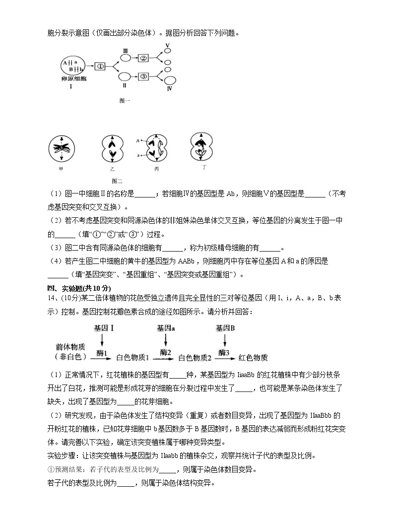 2022 2023学年人教版（2019）必修二第5章 基因突变及其他变异 单元测试卷word版含答案 教习网试卷下载