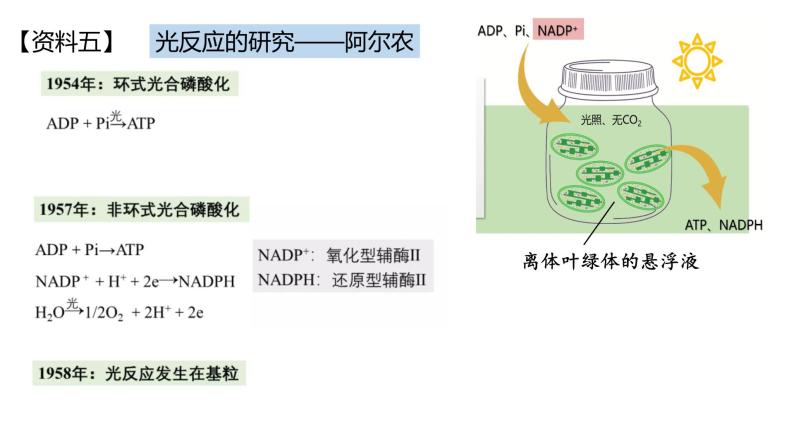 人教版 2019必修1《分子与细胞》第5章 细胞的能量供应和利用第4节 光合作用与能量转化二 光合作用的原理和应用图片ppt课件 教习网课件下载