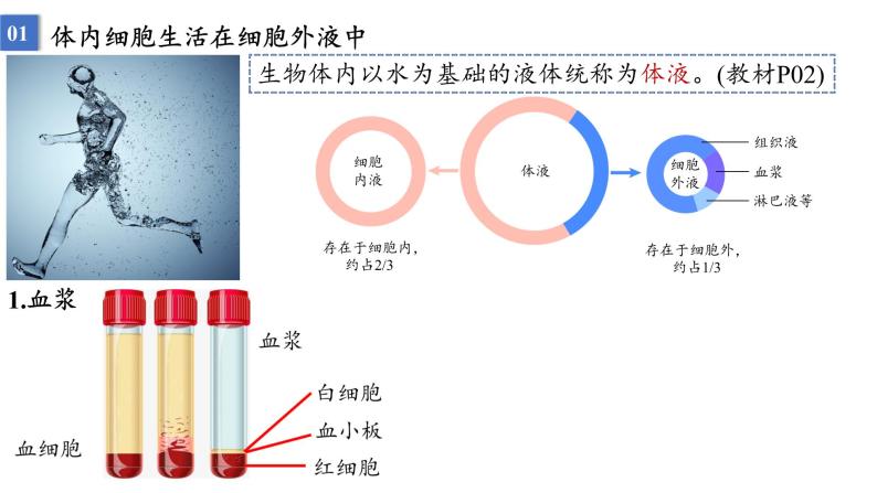 2023届高三生物一轮复习课件:人体的内环境与稳态 教习网课件下载