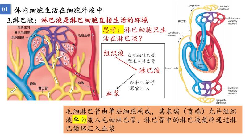 2023届高三生物一轮复习课件：人体的内环境与稳态 教习网课件下载
