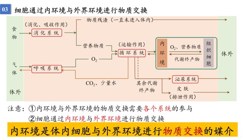 2023届高三生物一轮复习课件：人体的内环境与稳态 教习网课件下载