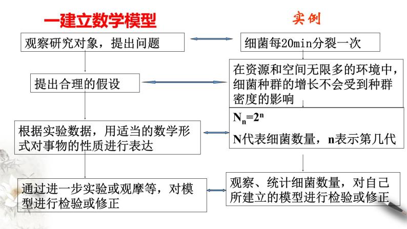 人教版 2019选择性必修2第2节 种群数量的变化教案 教习网教案下载