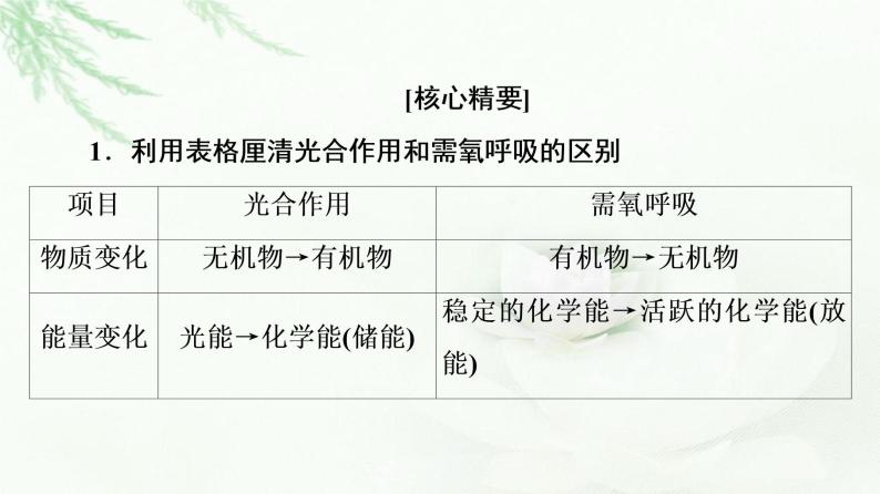 2021学年第五节 光合作用将光能转化为化学能教案配套ppt课件 教习网课件下载