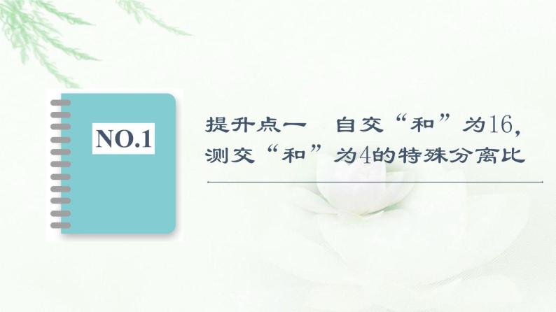 浙科版 2019必修2《遗传与进化》第二节 孟德尔从两对相对性状的杂交实验中总结出自由组合定律说课ppt课件 教习网课件下载