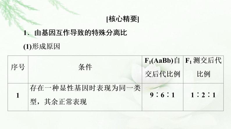 浙科版 2019必修2《遗传与进化》第二节 孟德尔从两对相对性状的杂交实验中总结出自由组合定律说课ppt课件 教习网课件下载