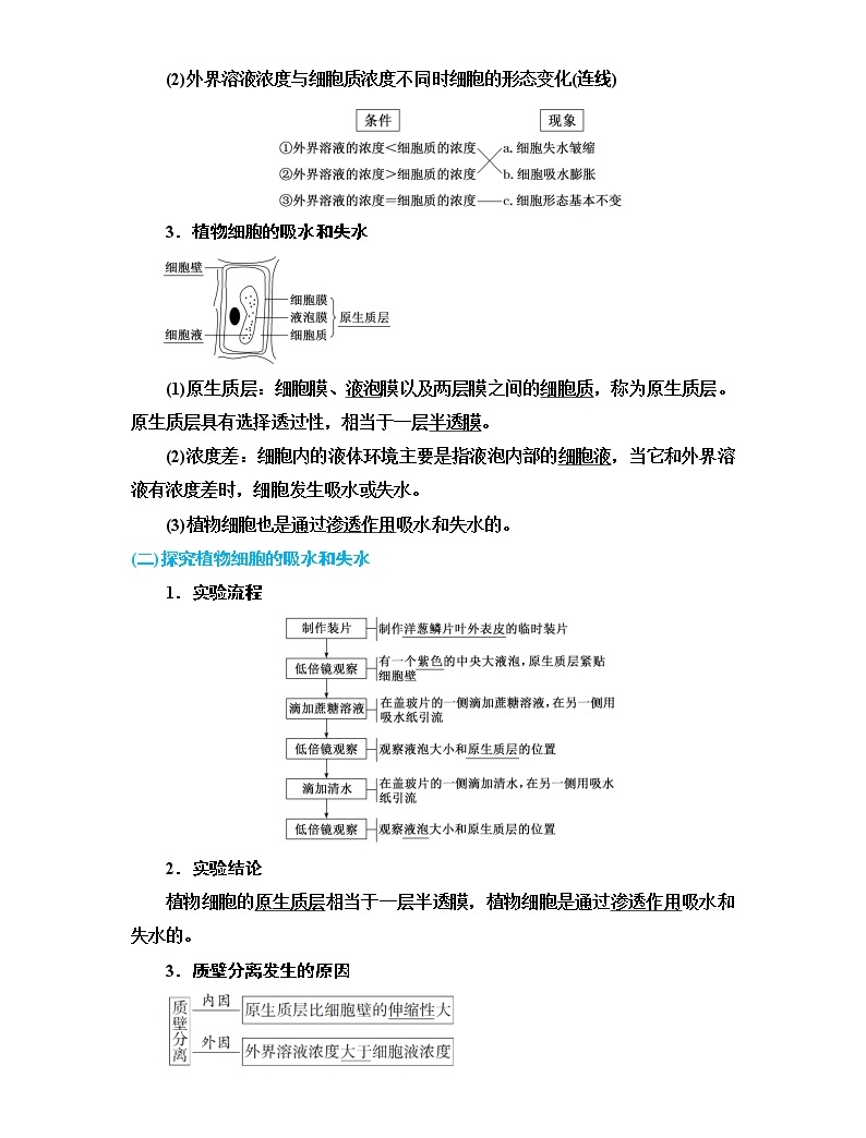 【知识梳理】高中生物人教版2019必修1 第4章《细胞的物质输入和输出》知识梳理 教习网学案下载