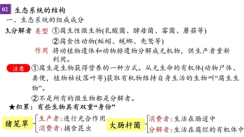 2022届高三生物一轮复习课件：第40课时 生态系统的结构与能量流动 教习网课件下载
