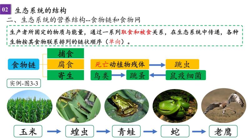 2022届高三生物一轮复习课件:第40课时 生态系统的结构与能量流动 教习网课件下载