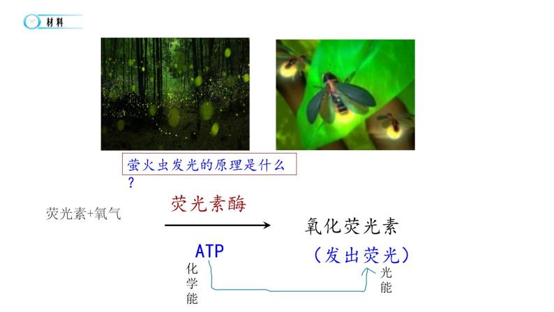生物必修1《分子与细胞》第一节 Atp是细胞内的 能量通货”备课ppt课件 教习网课件下载