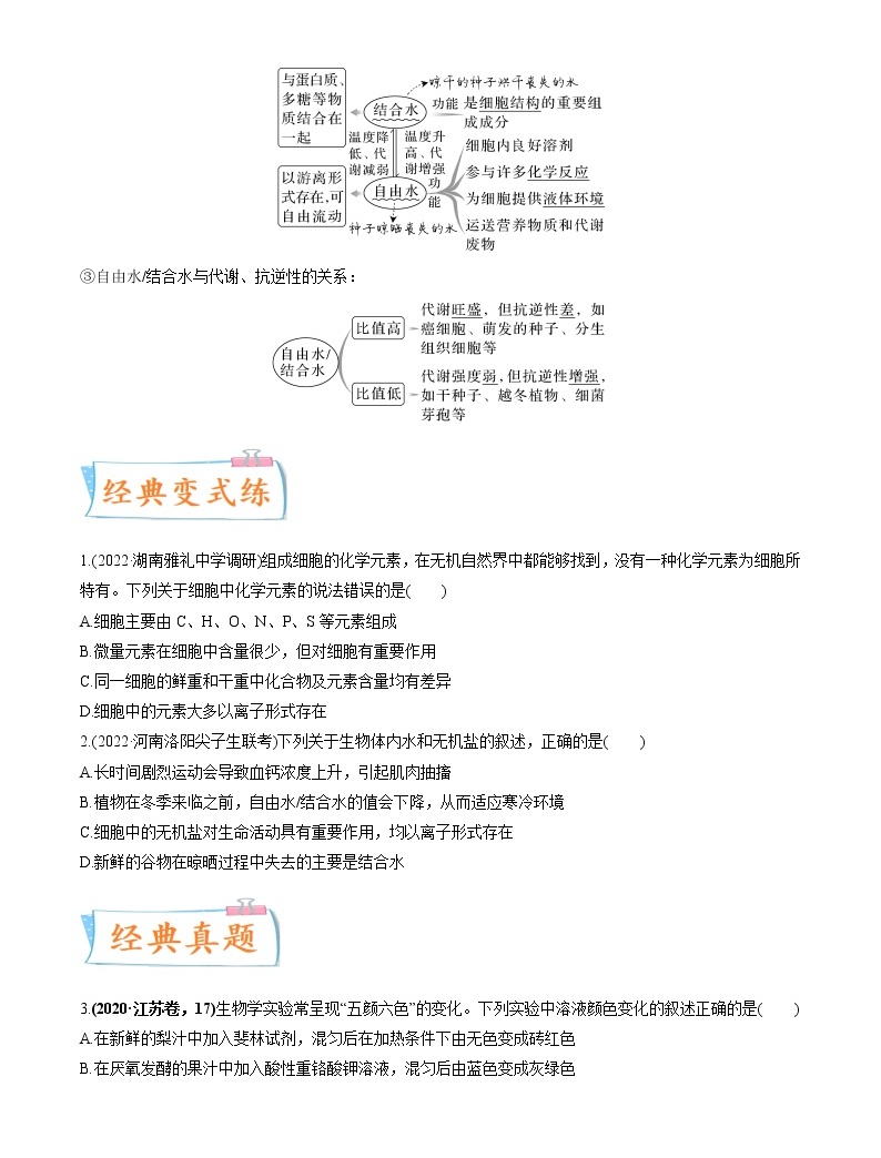 【高考考点专题复习】高考生物考点专题复习——考向01《组成细胞的分子》全能卷（全国通用） 教习网试卷下载