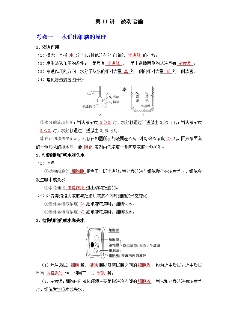 【高考精细化复习】高考生物(必修1)一轮复习 第11讲《被动运输》讲义(全国通用) 教习网课件下载