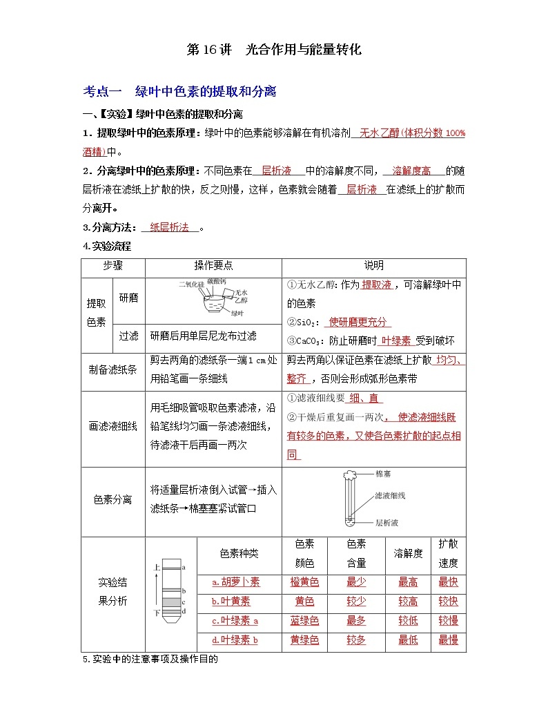【高考精细化复习】高考生物（必修1）一轮复习 第16讲《光合作用与能量转化》讲义（全国通用） 教习网课件下载