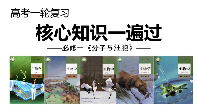 【高考一轮专题复习】高考生物专题复习——第03讲《蛋白质》复习课件（新教材新高考） 教习网课件下载